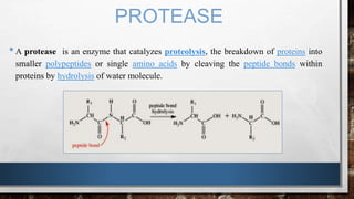 Development of agents acting on HIV protease enzyme utilising molecular ...
