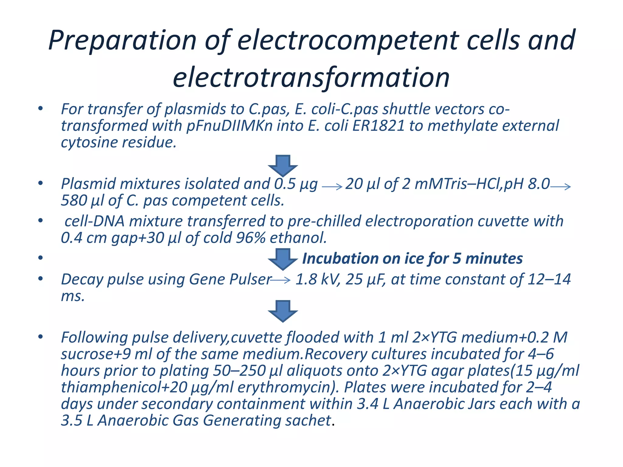 Development of an electrotransformation protocol for genetic ...