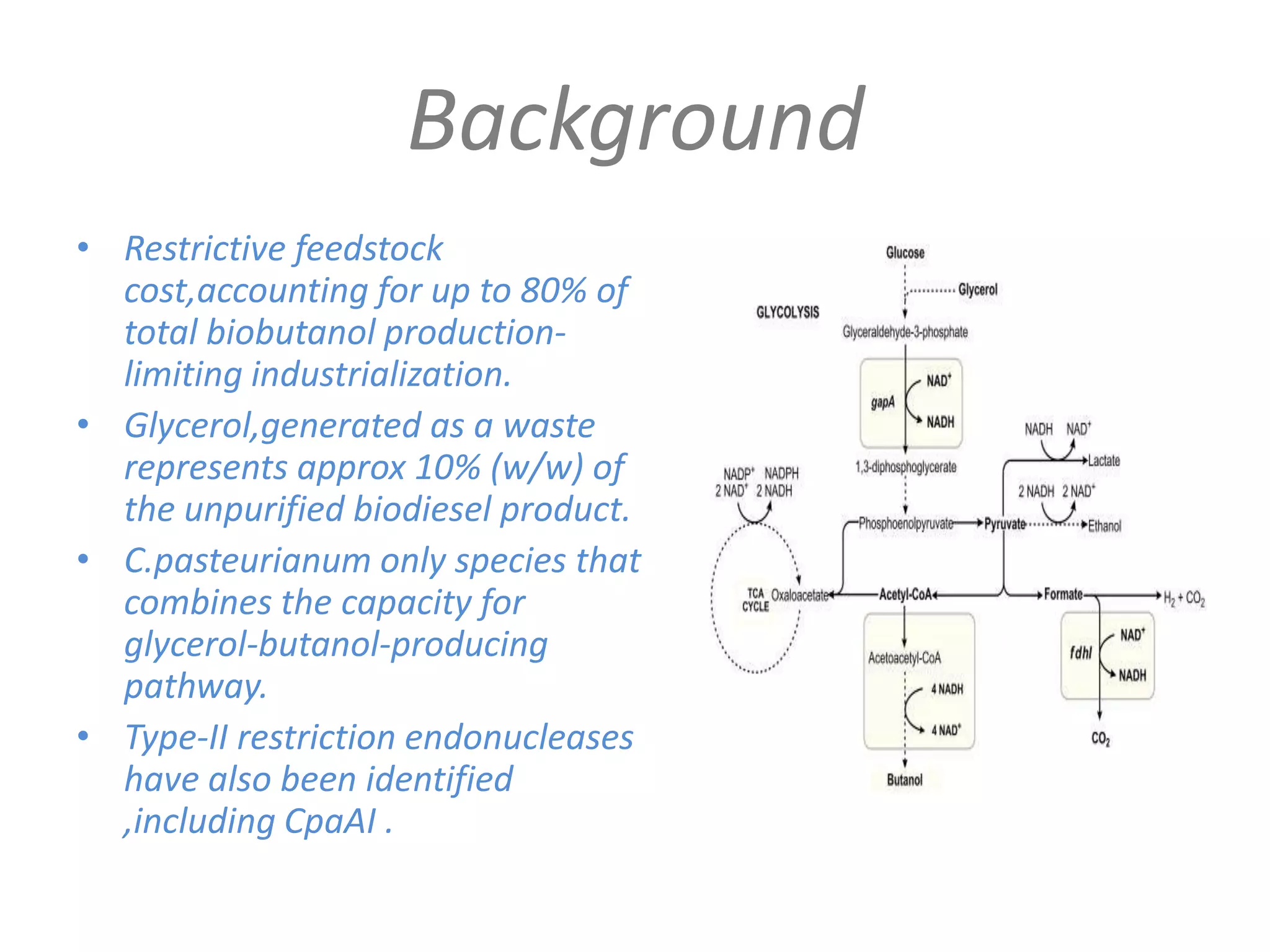 Development of an electrotransformation protocol for genetic ...