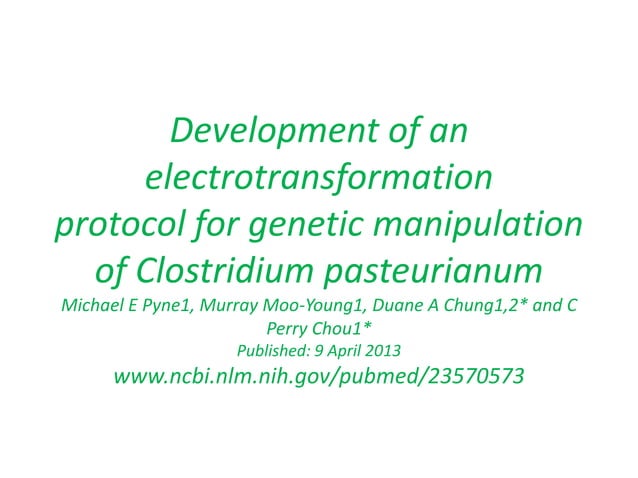 Development of an electrotransformation protocol for genetic ...