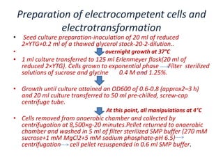 Development of an electrotransformation protocol for genetic ...