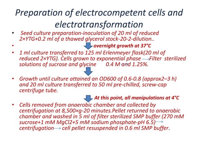 Development of an electrotransformation protocol for genetic ...