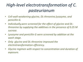 Development of an electrotransformation protocol for genetic ...