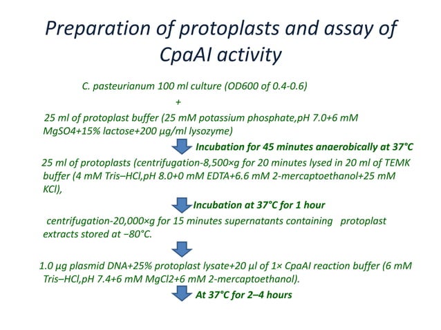 Development of an electrotransformation protocol for genetic ...