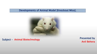 Development of animal model (Knockout Mice) | PPTX