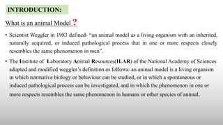Development of animal model (Knockout Mice) | PPTX