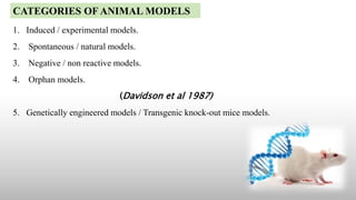 Development of animal model (Knockout Mice) | PPT