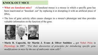 Development of animal model (Knockout Mice) | PPTX