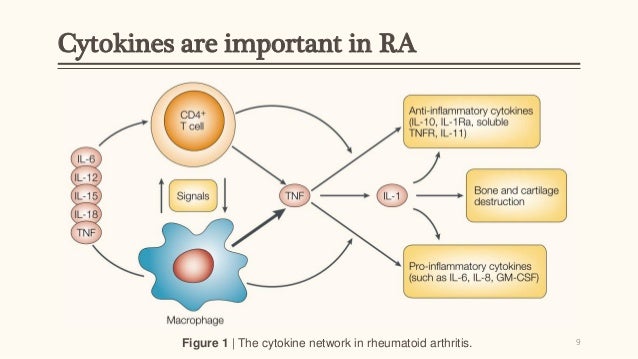 Development of anti tnf therapy for rheumatoid arthritis