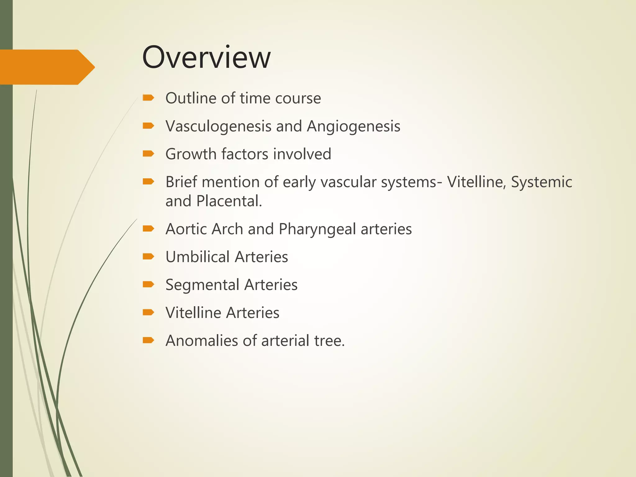 Development of Arteries | PPTX