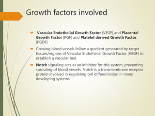 Development of Arteries | PPTX