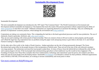 Development Of A Sustainable Development Essay | PDF