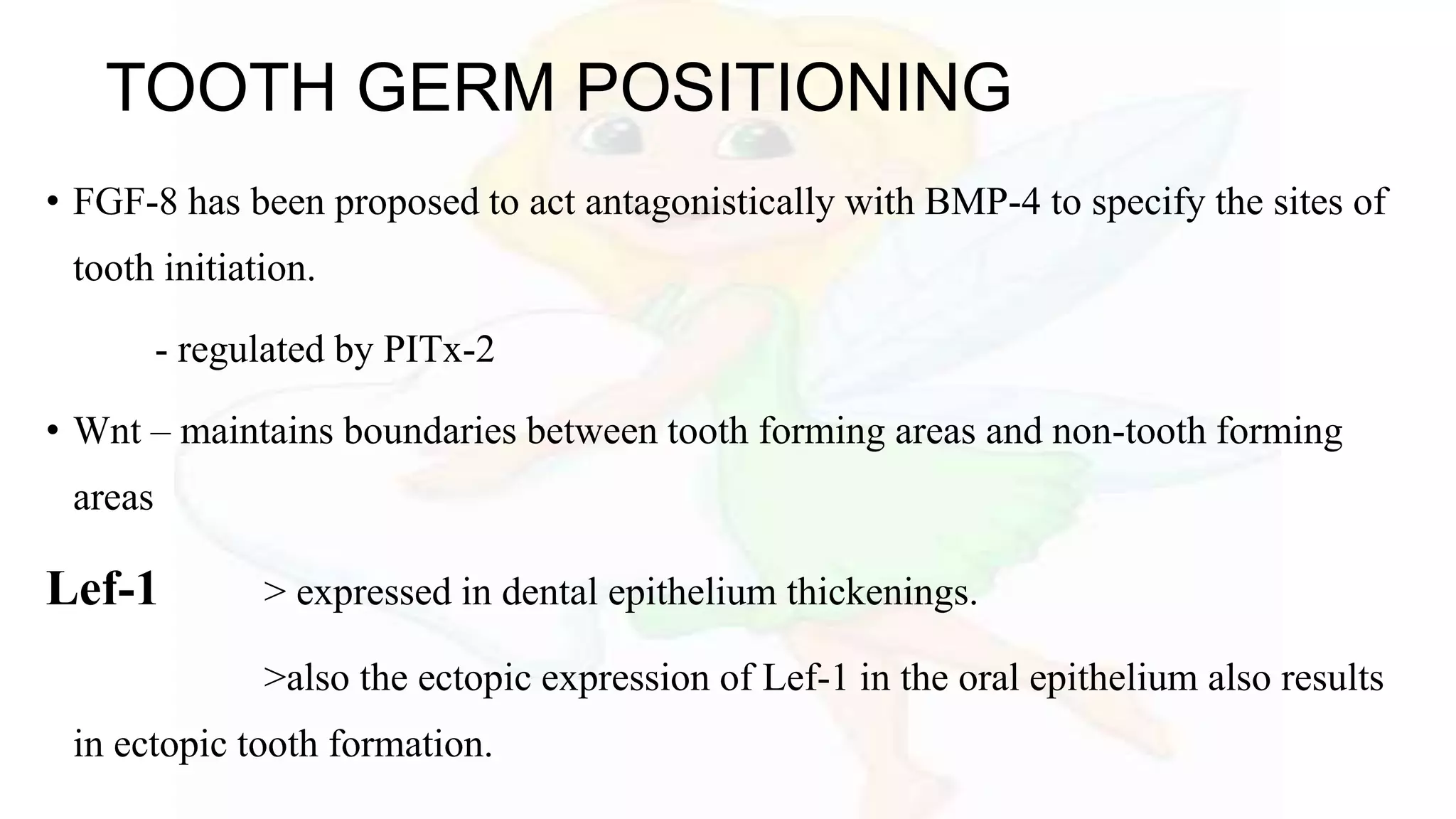 Development of a teeth part i | PPTX