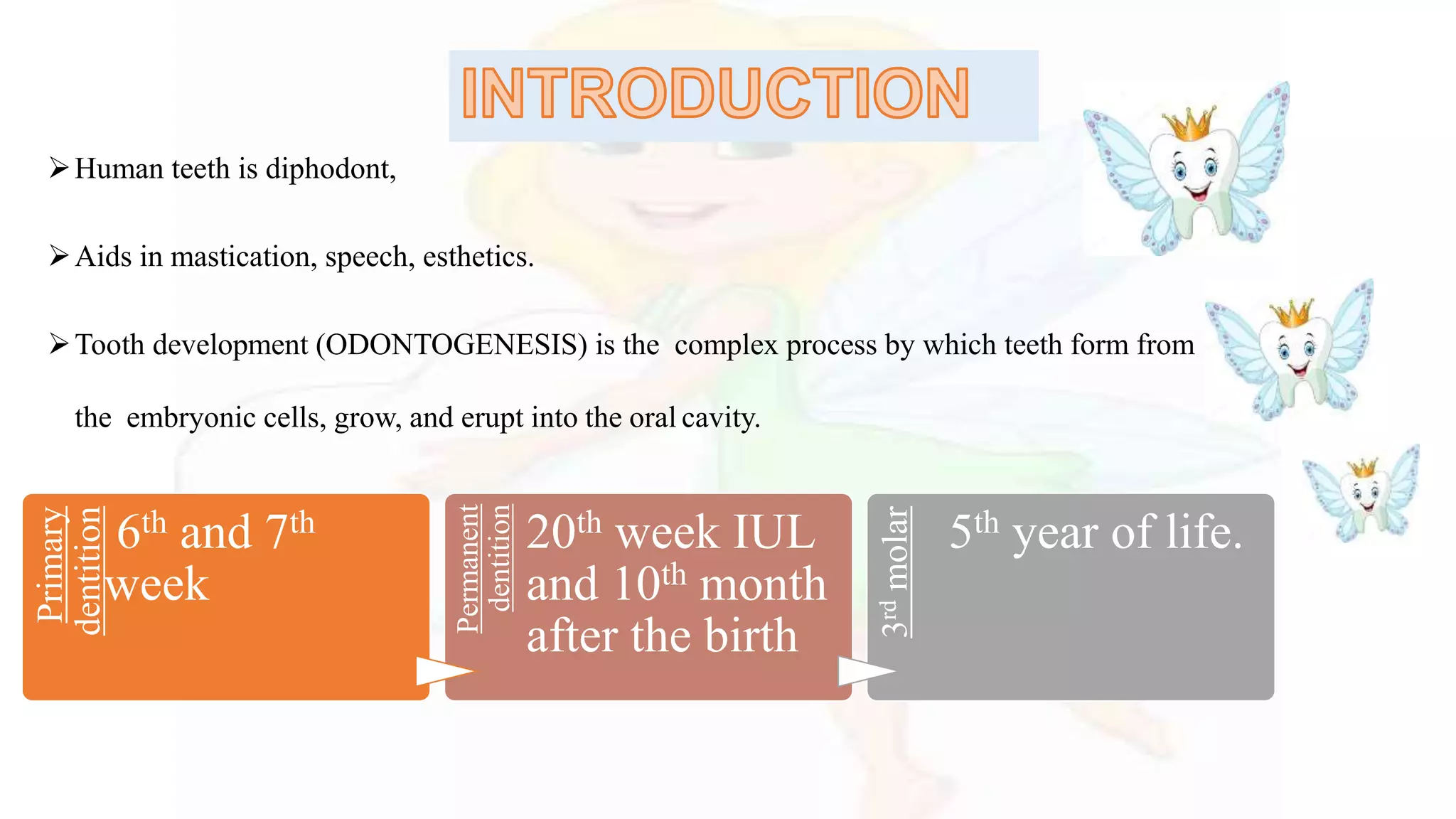 Development of a teeth part i | PPTX