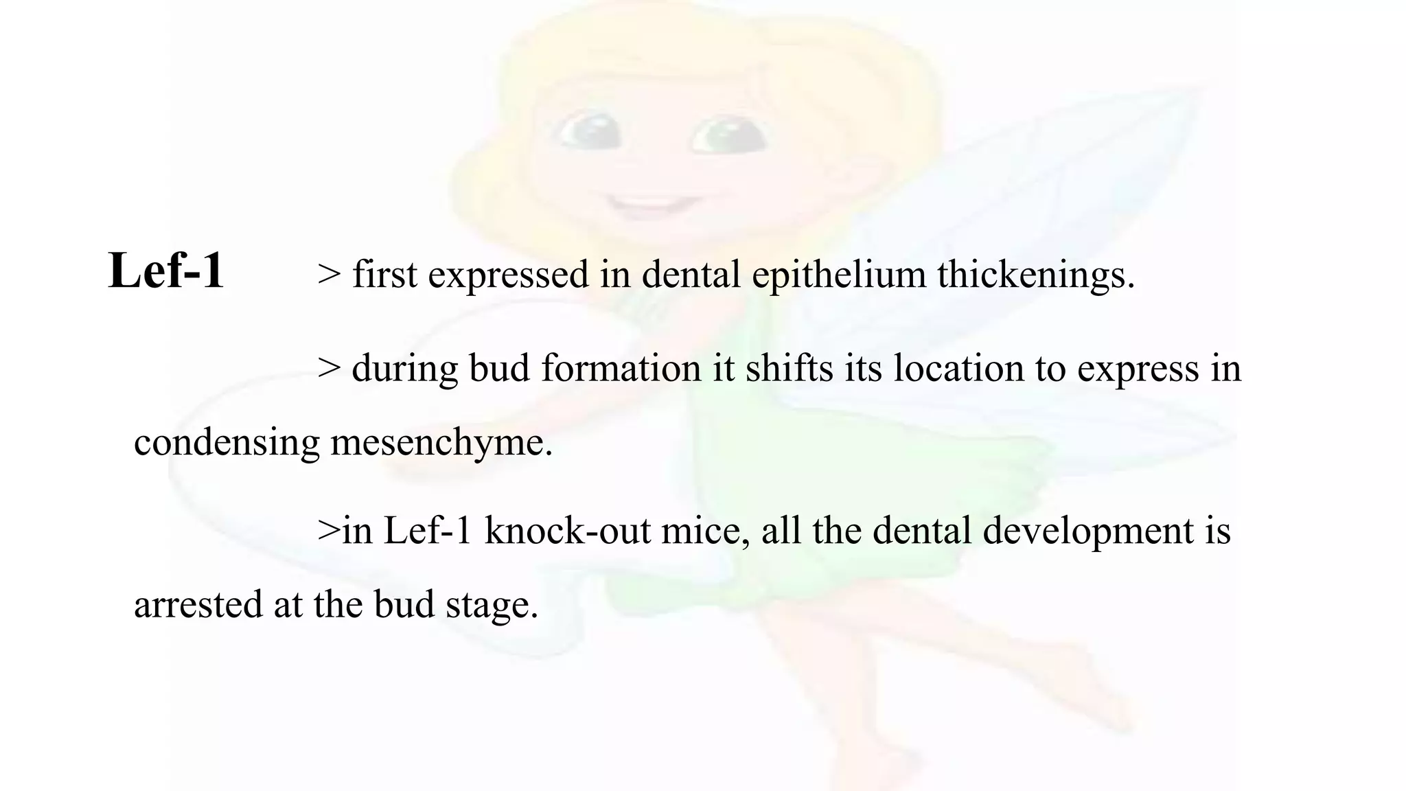 Development of a teeth part i | PPTX