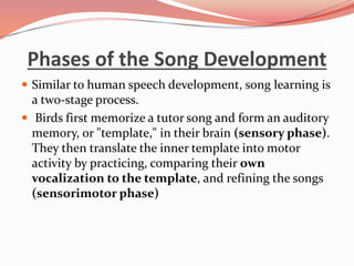Development of Behavior .pptx