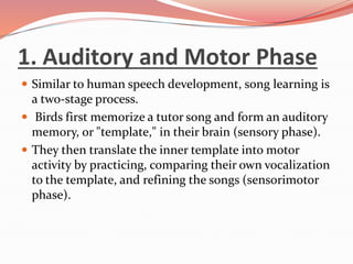 Development of Behavior .pptx
