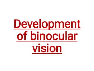 Development_of_BinocularVision.pdf