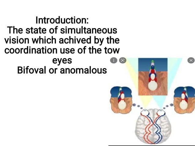Development_of_BinocularVision.pdf