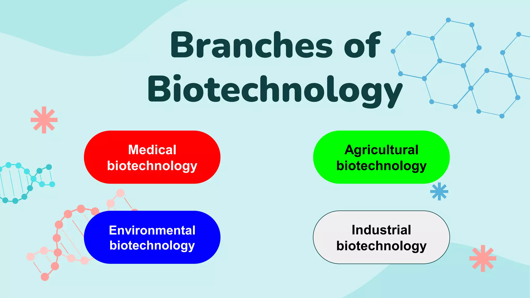Development of biotechnology.pptx