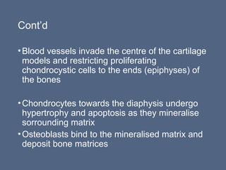 DEVELOPMENT OF BONE.pptx and embryology to | PPTX