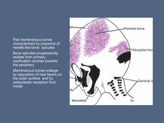 DEVELOPMENT OF BONE.pptx and embryology to | PPTX