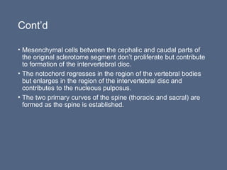 DEVELOPMENT OF BONE.pptx and embryology to | PPTX