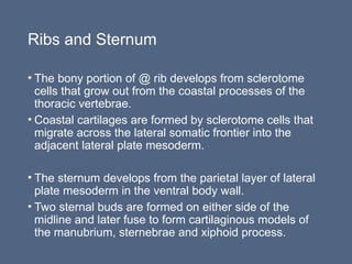 DEVELOPMENT OF BONE.pptx and embryology to | PPTX