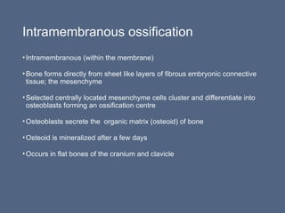 DEVELOPMENT OF BONE.pptx and embryology to | PPTX