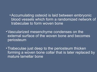 DEVELOPMENT OF BONE.pptx and embryology to | PPTX