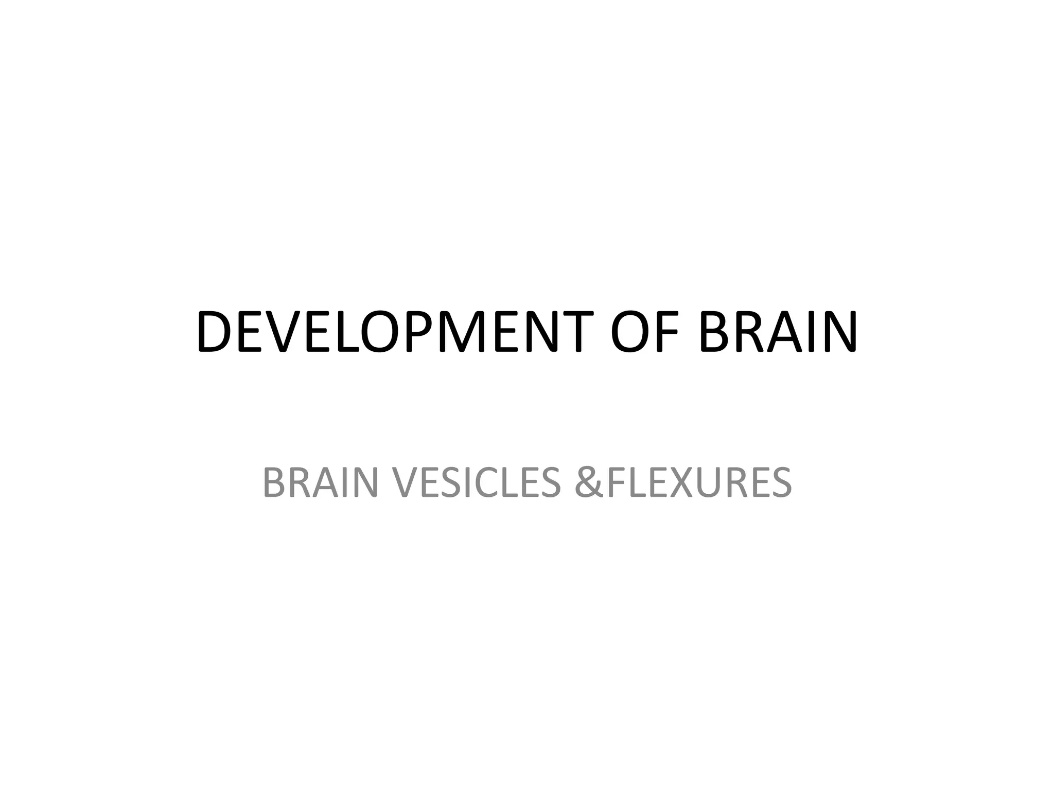 Development of brain | PPTX