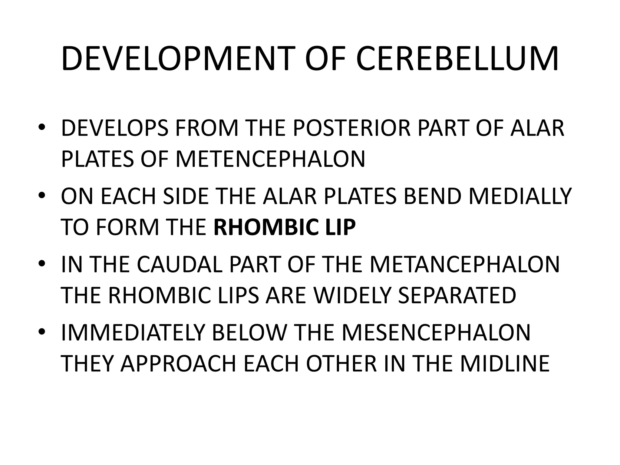 Development of brain | PPTX