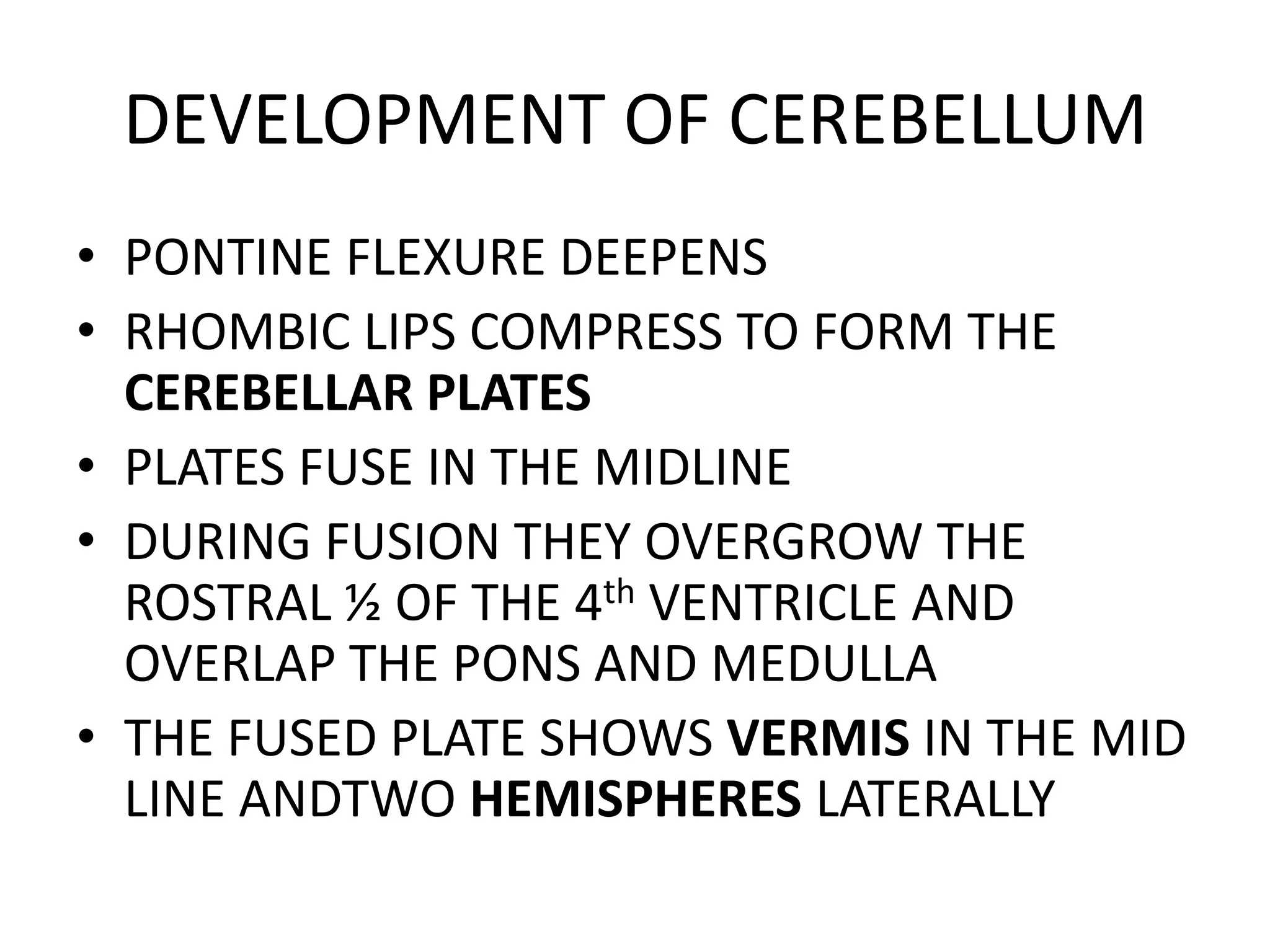 Development of brain | PPTX