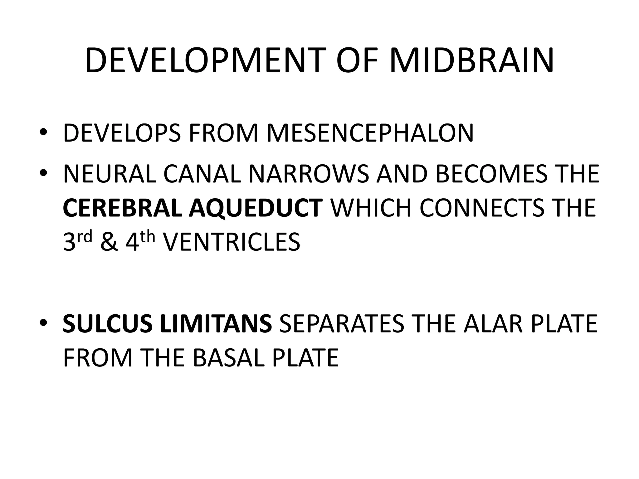 Development of brain | PPTX