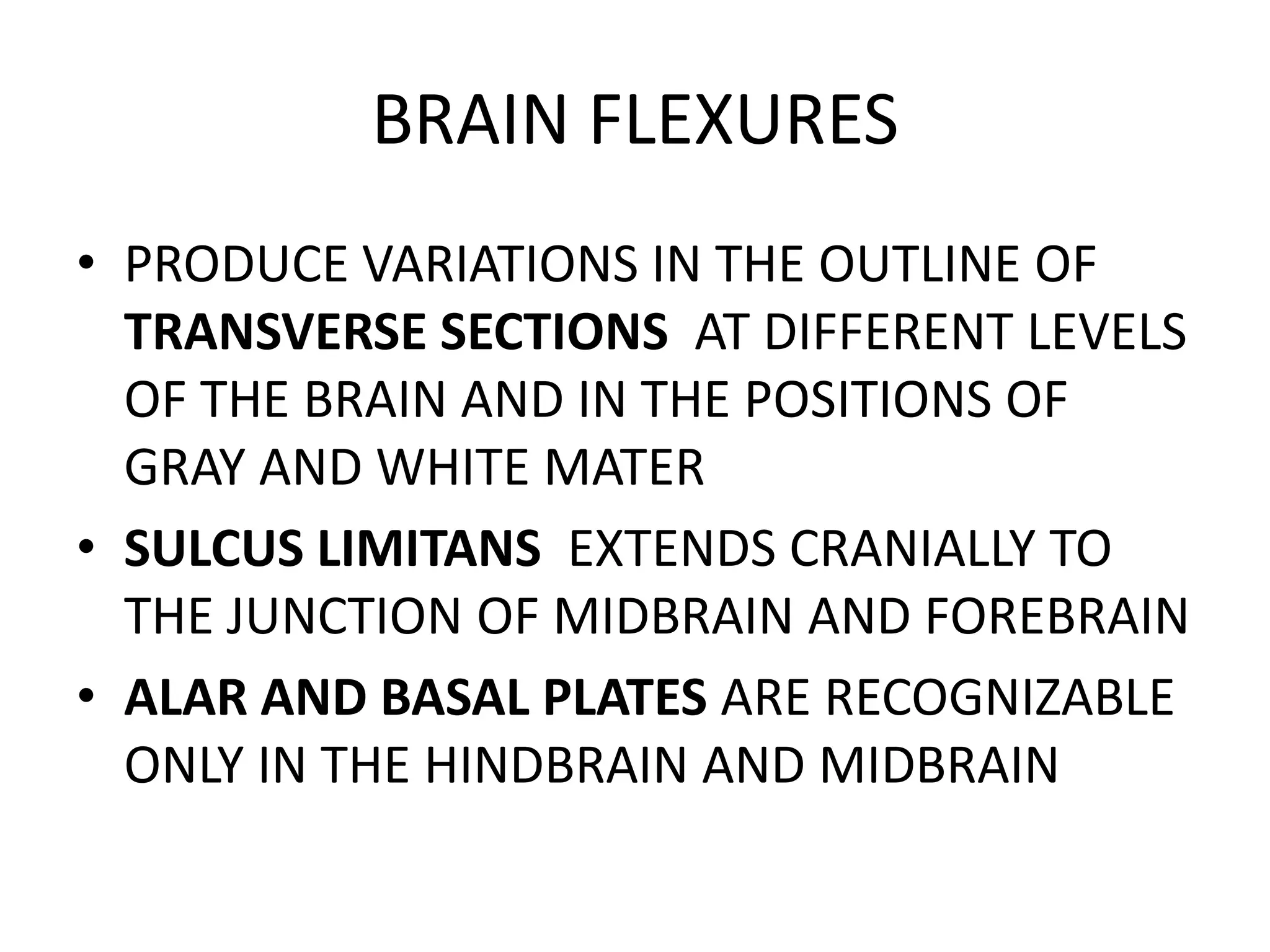 Development of brain | PPTX