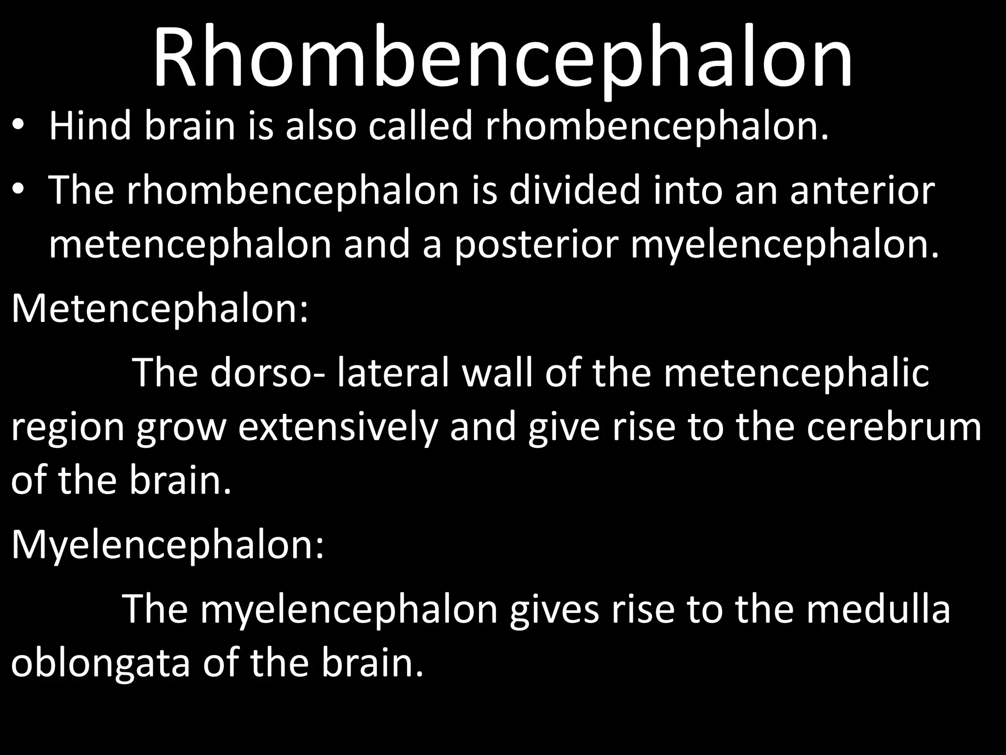 Development of brain and eye | PPTX