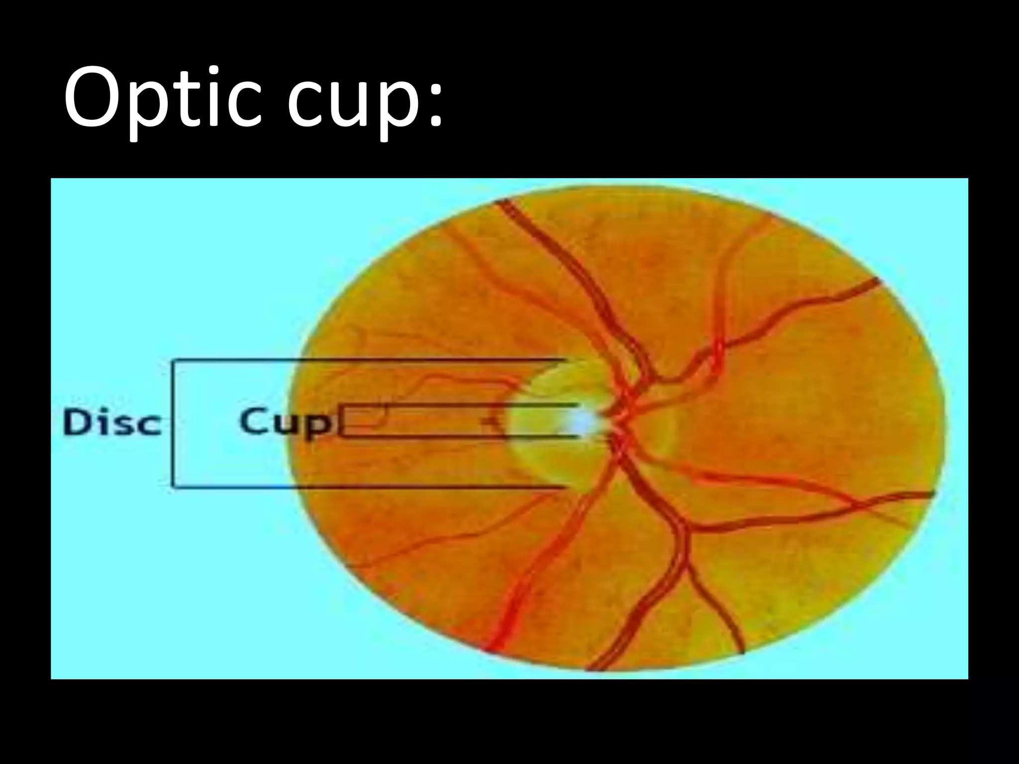 Development of brain and eye | PPTX