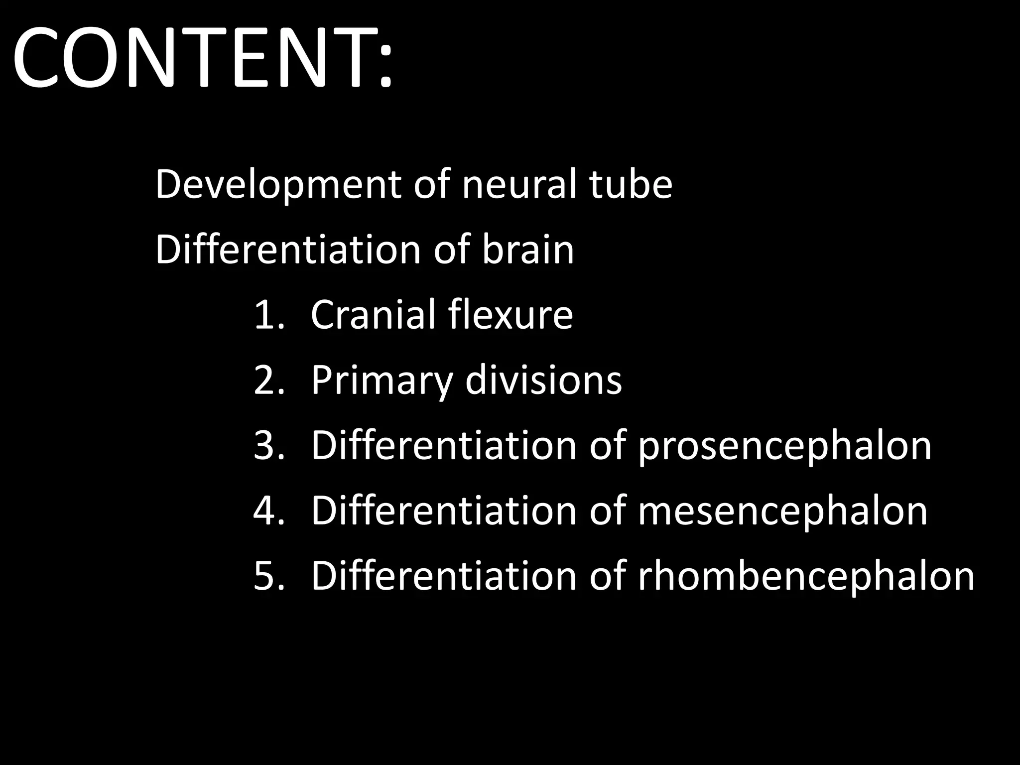 Development of brain and eye | PPTX