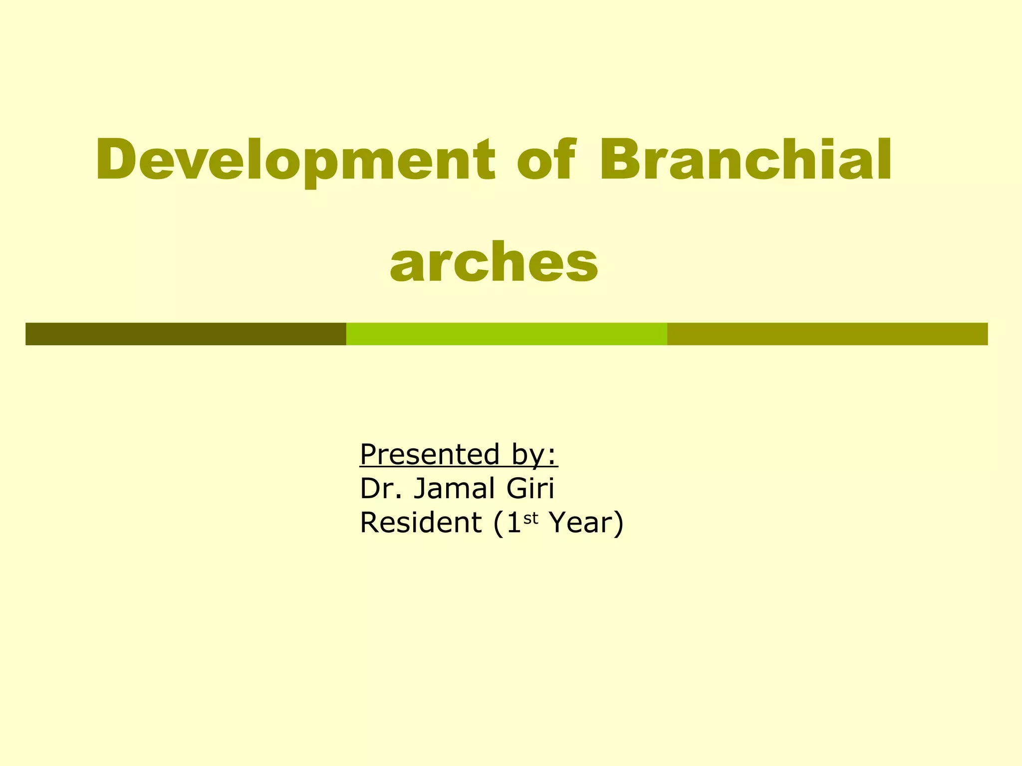 Developmentof branchial arches 23 0ct 2011 | PPT