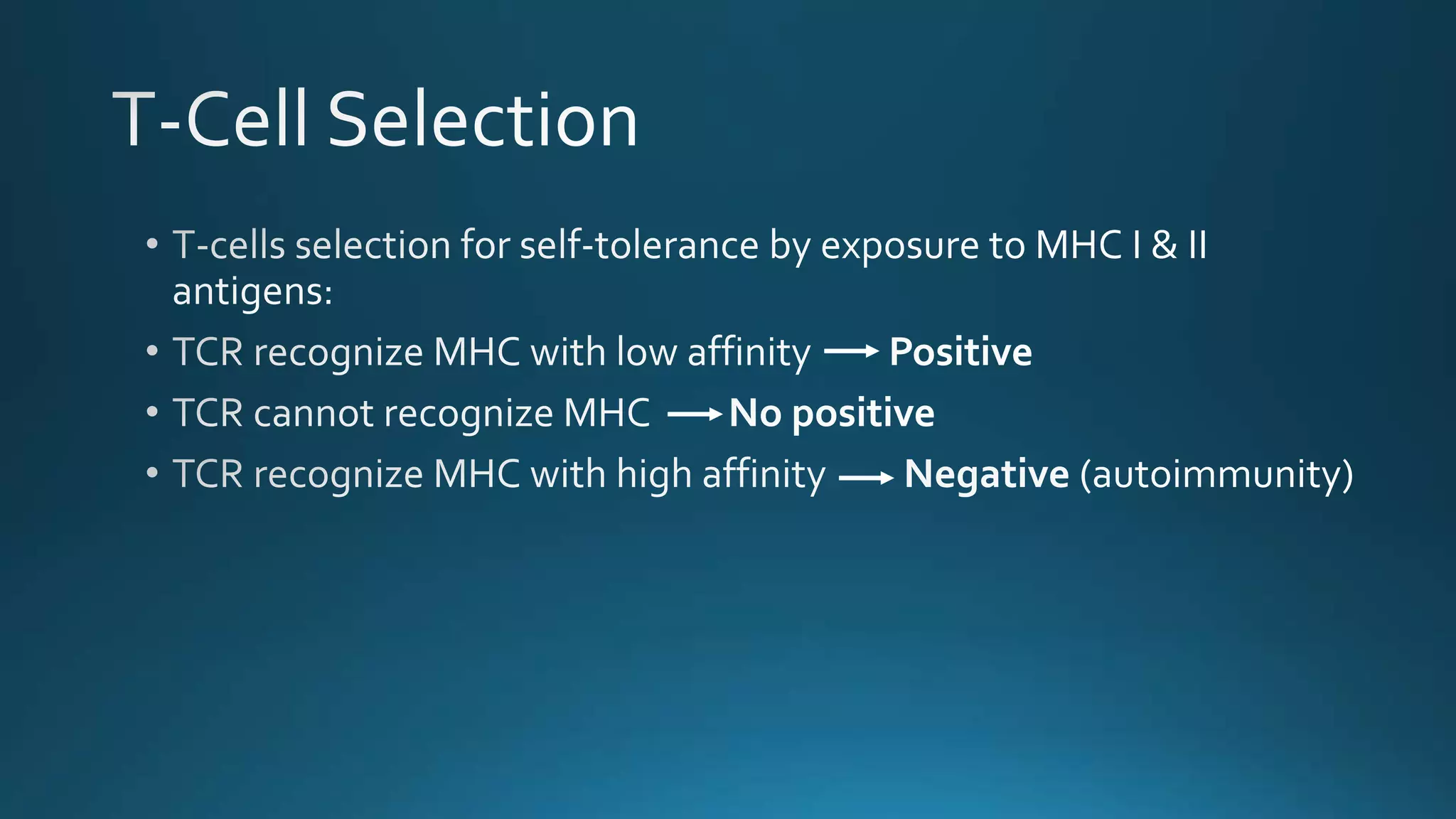 Development Of B And T Cells Ppt