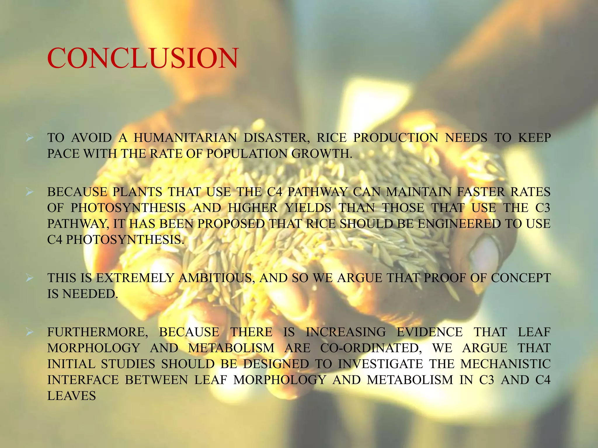 Development of c4 rice | PPTX