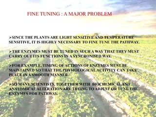 Development of c4 rice | PPTX | Agriculture | Industries