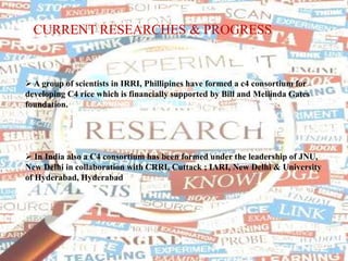 Development of c4 rice | PPTX | Agriculture | Industries