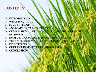 Development of c4 rice | PPTX | Agriculture | Industries