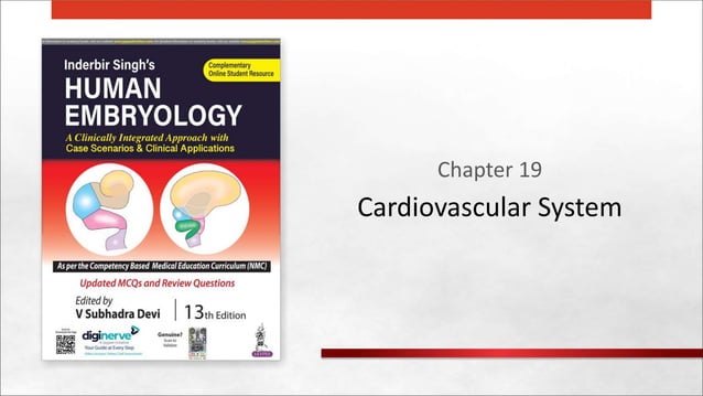 Development of Cardiovascular System.pptx | Pregnancy | Reproductive Health
