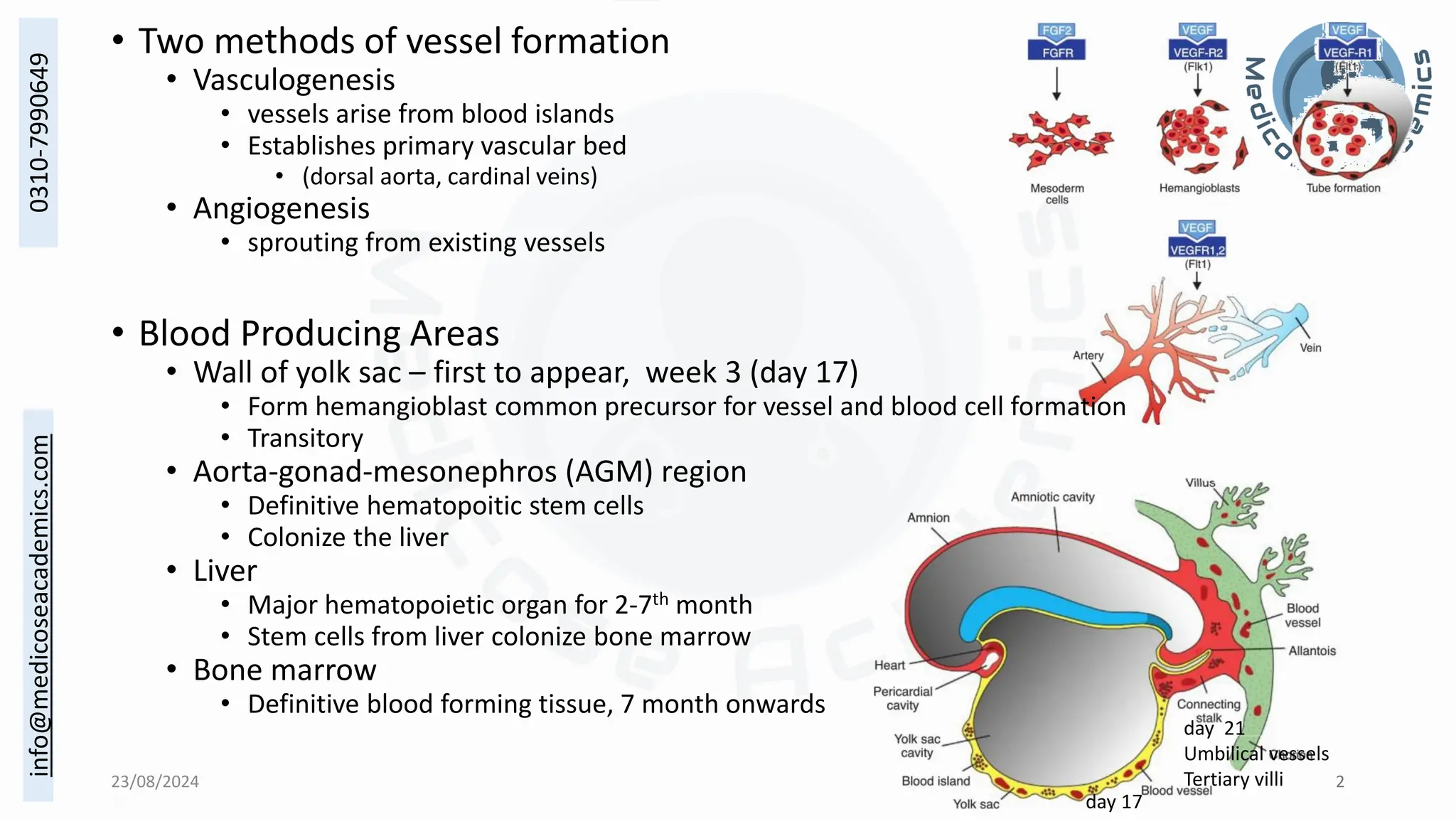 Development of Cardiovascular System.pdf