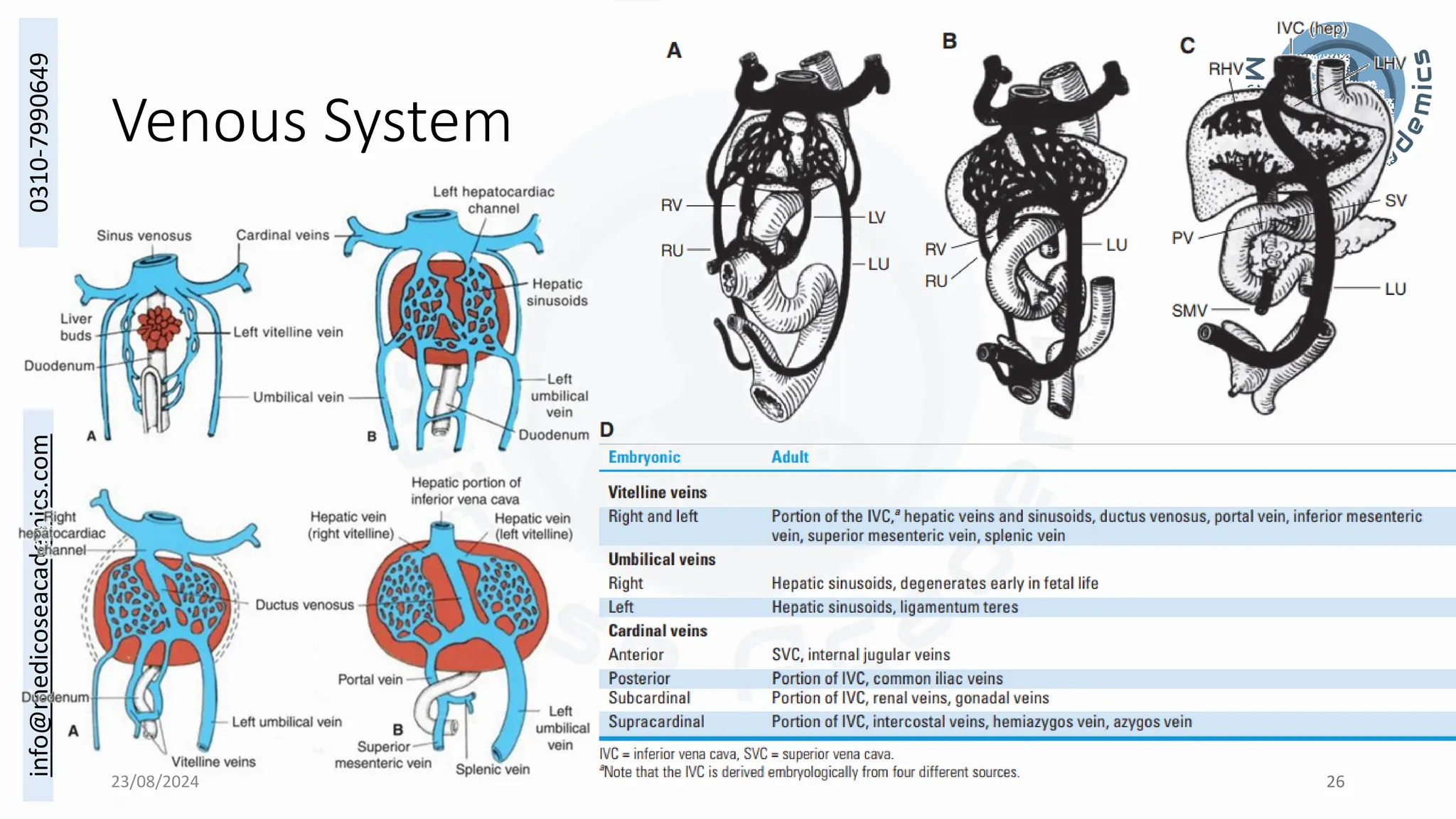 Development of Cardiovascular System.pdf