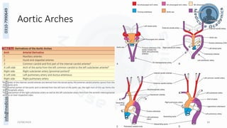 Development of Cardiovascular System.pdf