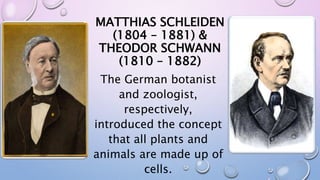 Development of cell theory | PPTX