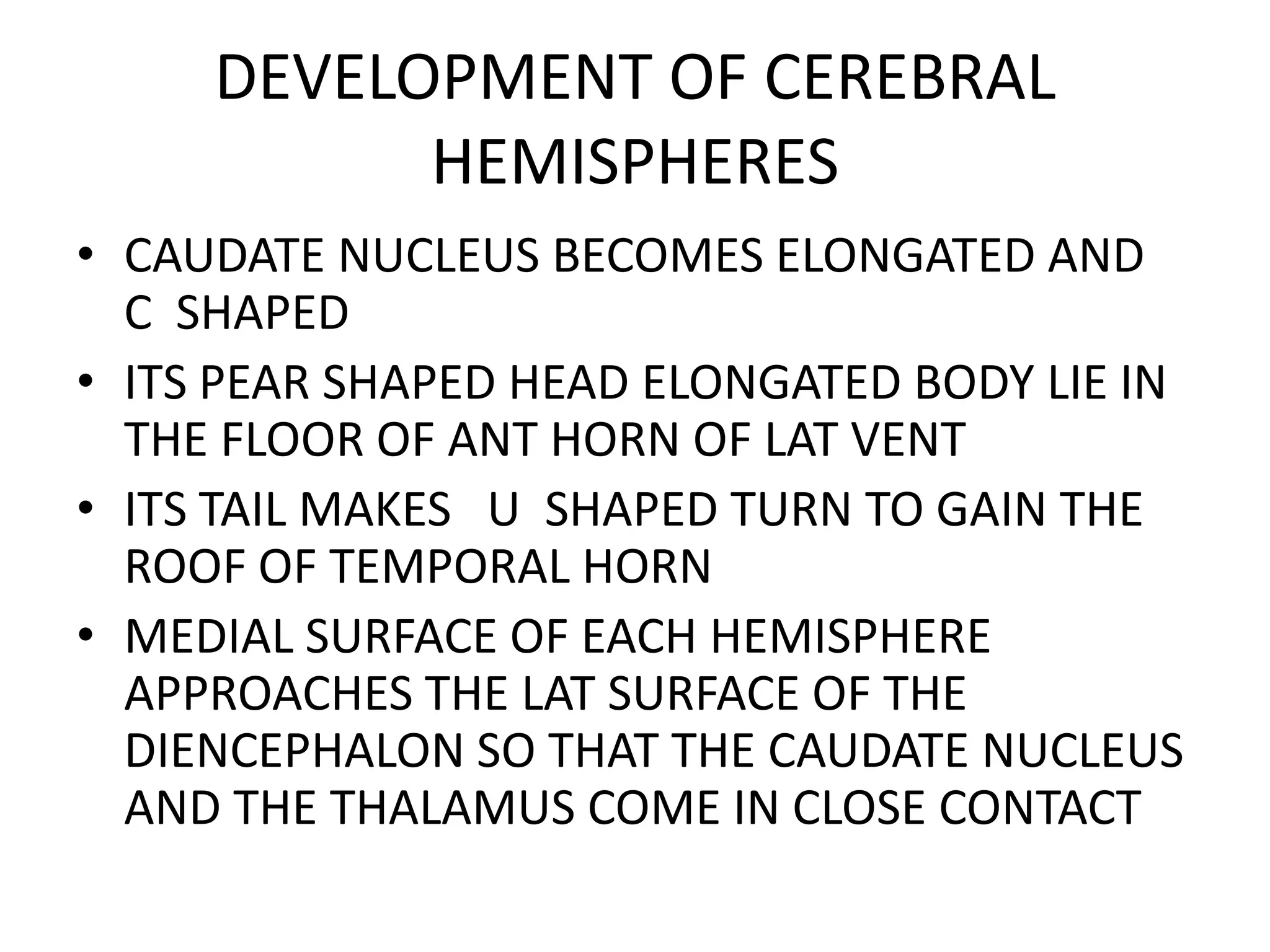 Development of cerebral hemispheres | PPTX